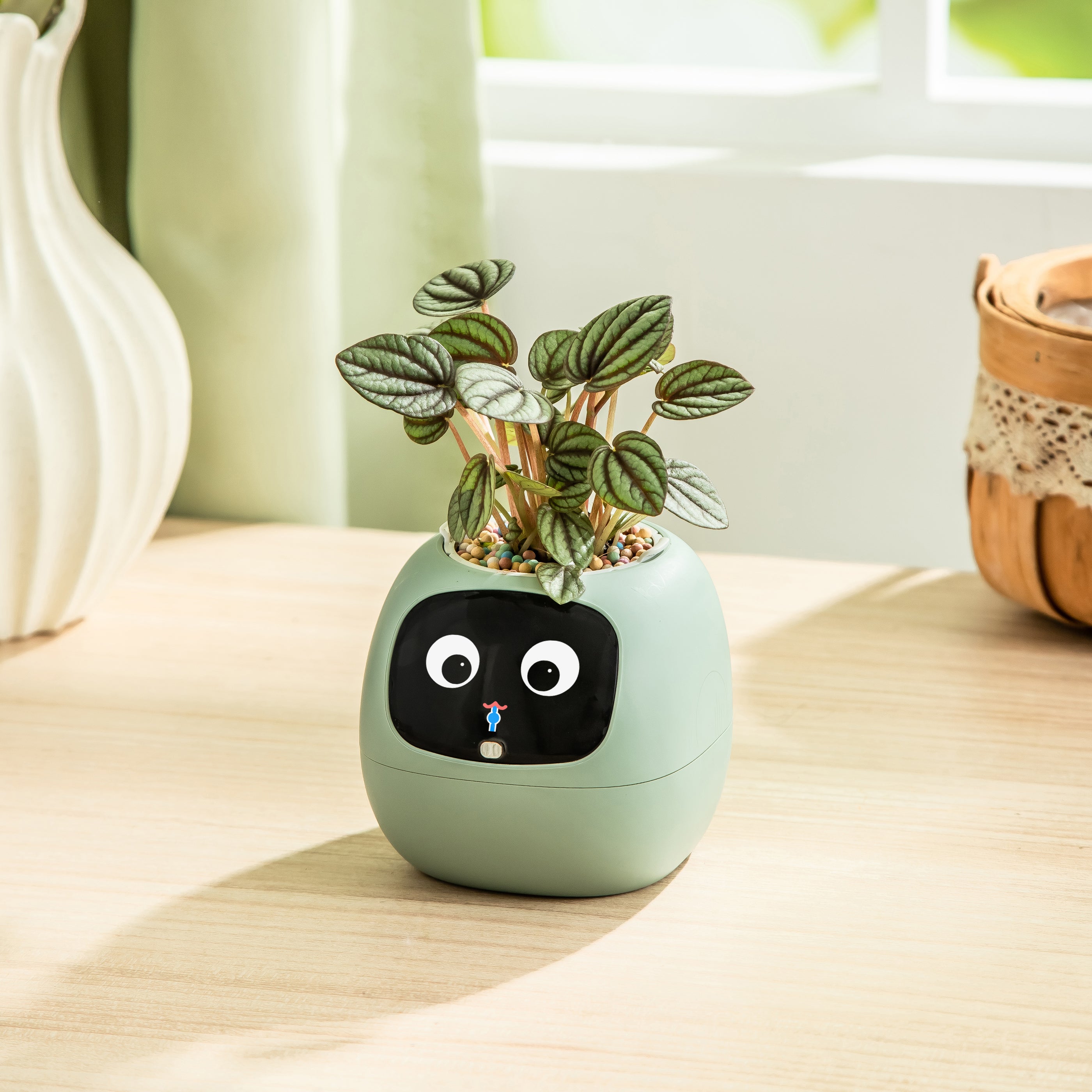 Ivy Smart Planter Gen 2 – The World’s First Expressive Plant-Pet