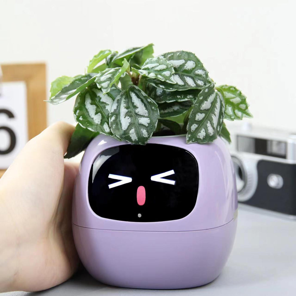 Ivy Smart Planter | Plantsio Official Website – plantopia