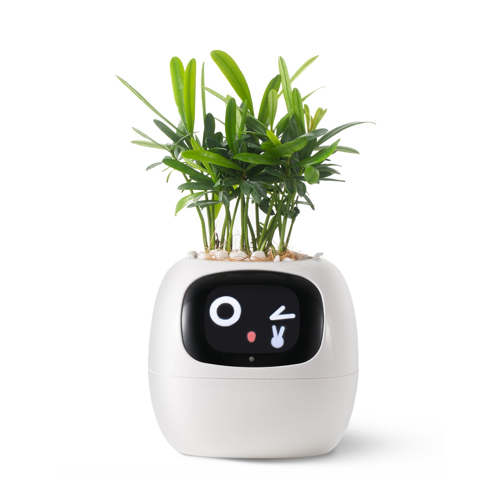 Ivy Smart Planter | Plantsio Official Website – plantopia