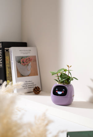 Plantsio Ivy Smart Planter Setup Guide – plantopia