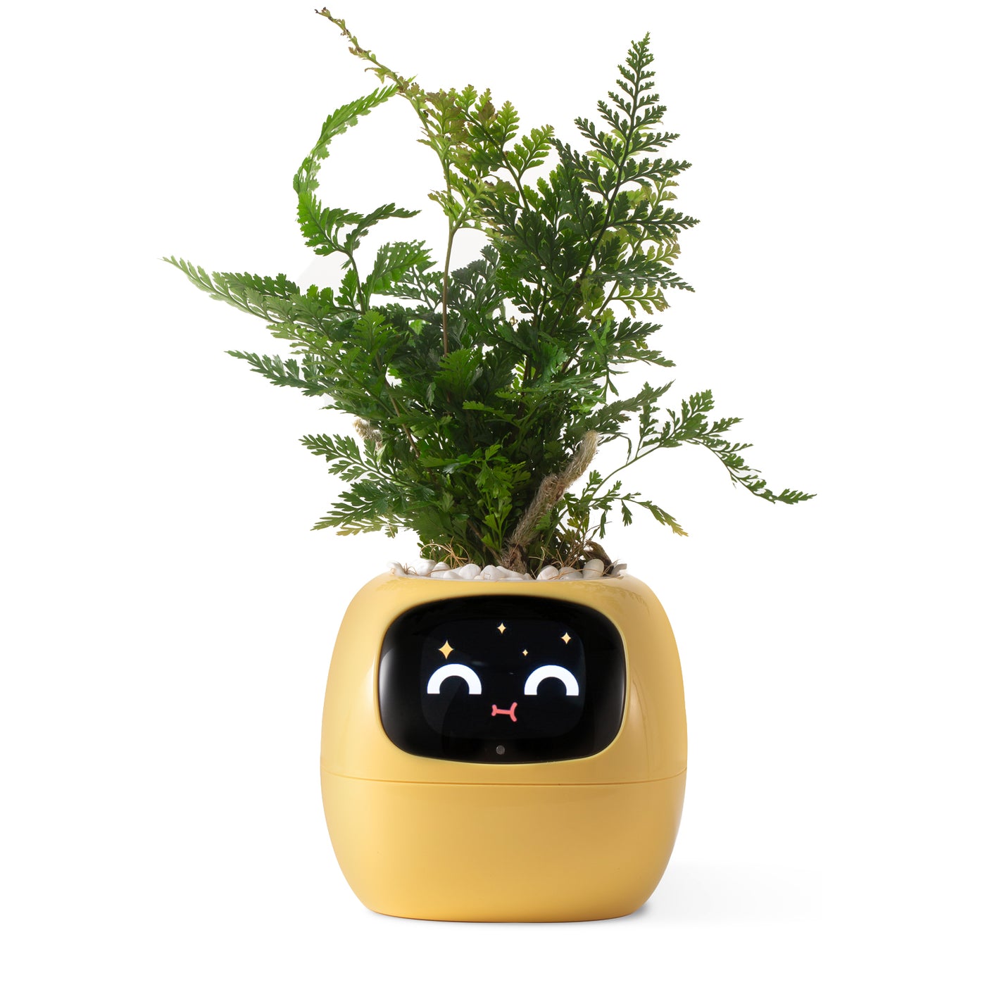 Ivy Smart Planter | Plantsio Official Website – plantopia